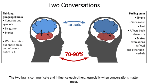 Red Brain, Blue Brain: How Nonverbal Conversations Run Our Lives ...